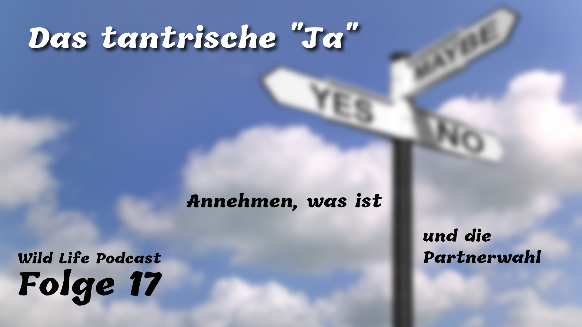 Folge 17 – Das tantrische “Ja” – Annehmen, was ist und die Partnerwahl ...
